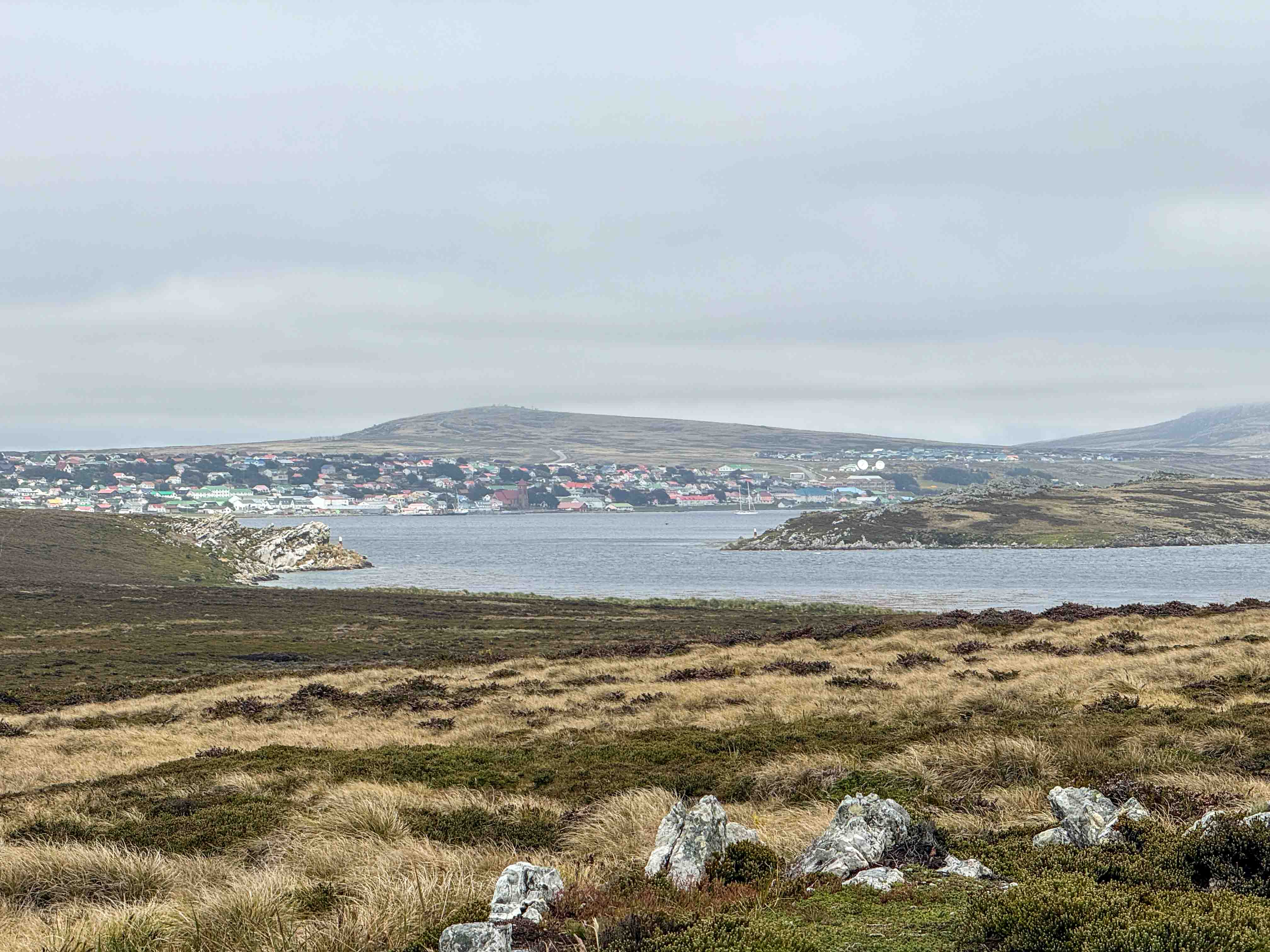Gypsy Cove – Where Penguins Outnumber Landmines (And That’s Saying ...