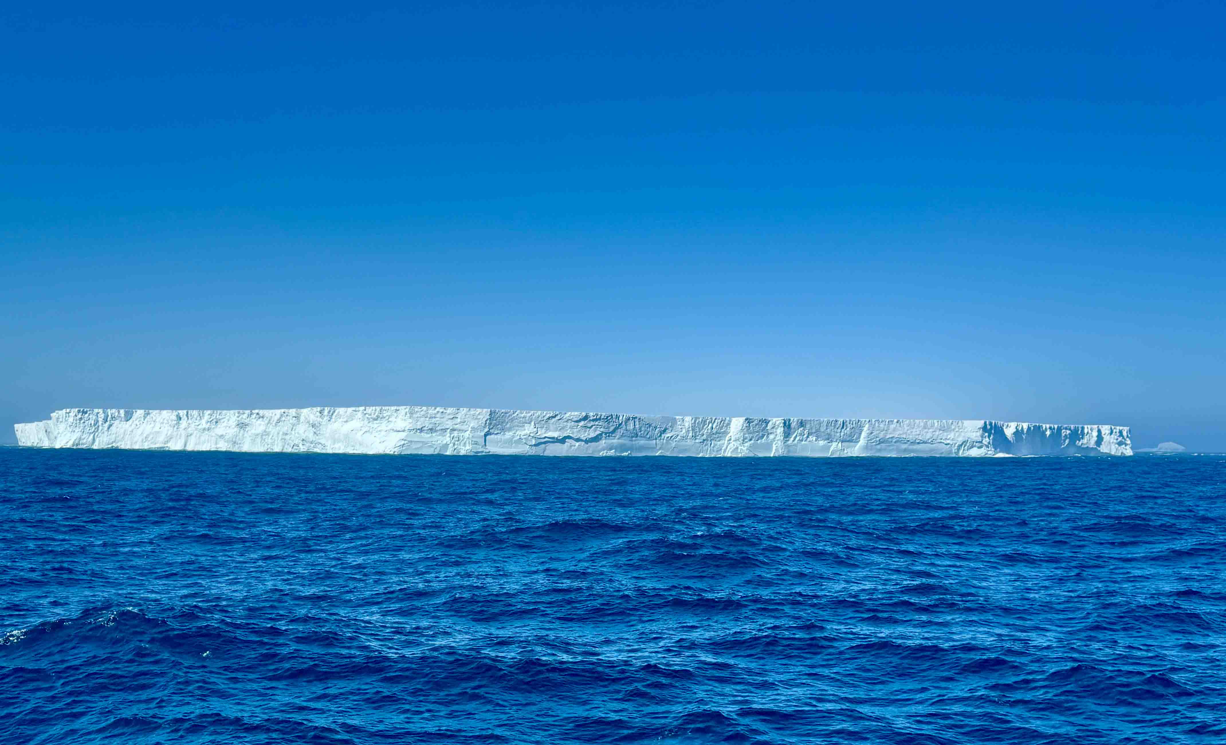 The Sacred Art of Doing Absolutely Nothing (With Fancy Tea and a ...